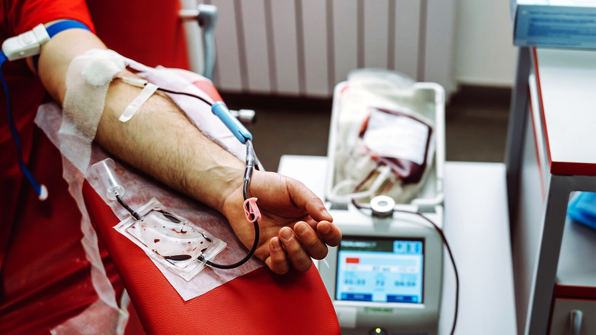 Blood donation safety: Why should we say no to blood donations from ...