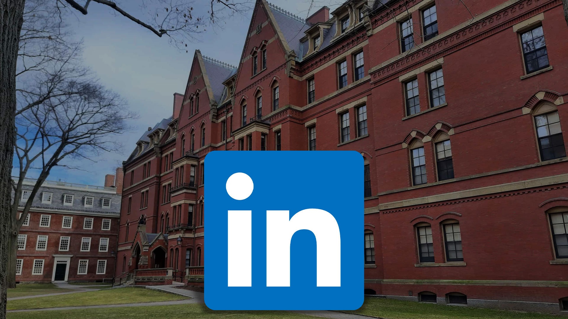 6 popular LinkedIn learning courses at Harvard